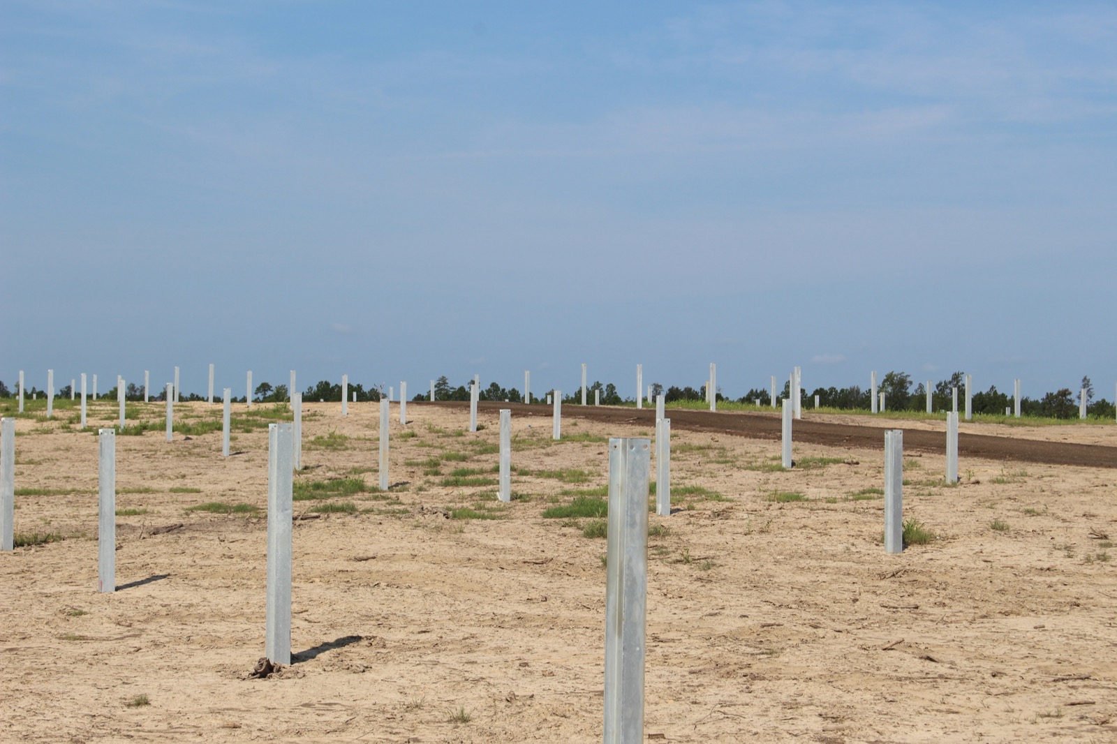 Spring Grove Solar | Solar Farm Construction - BHI